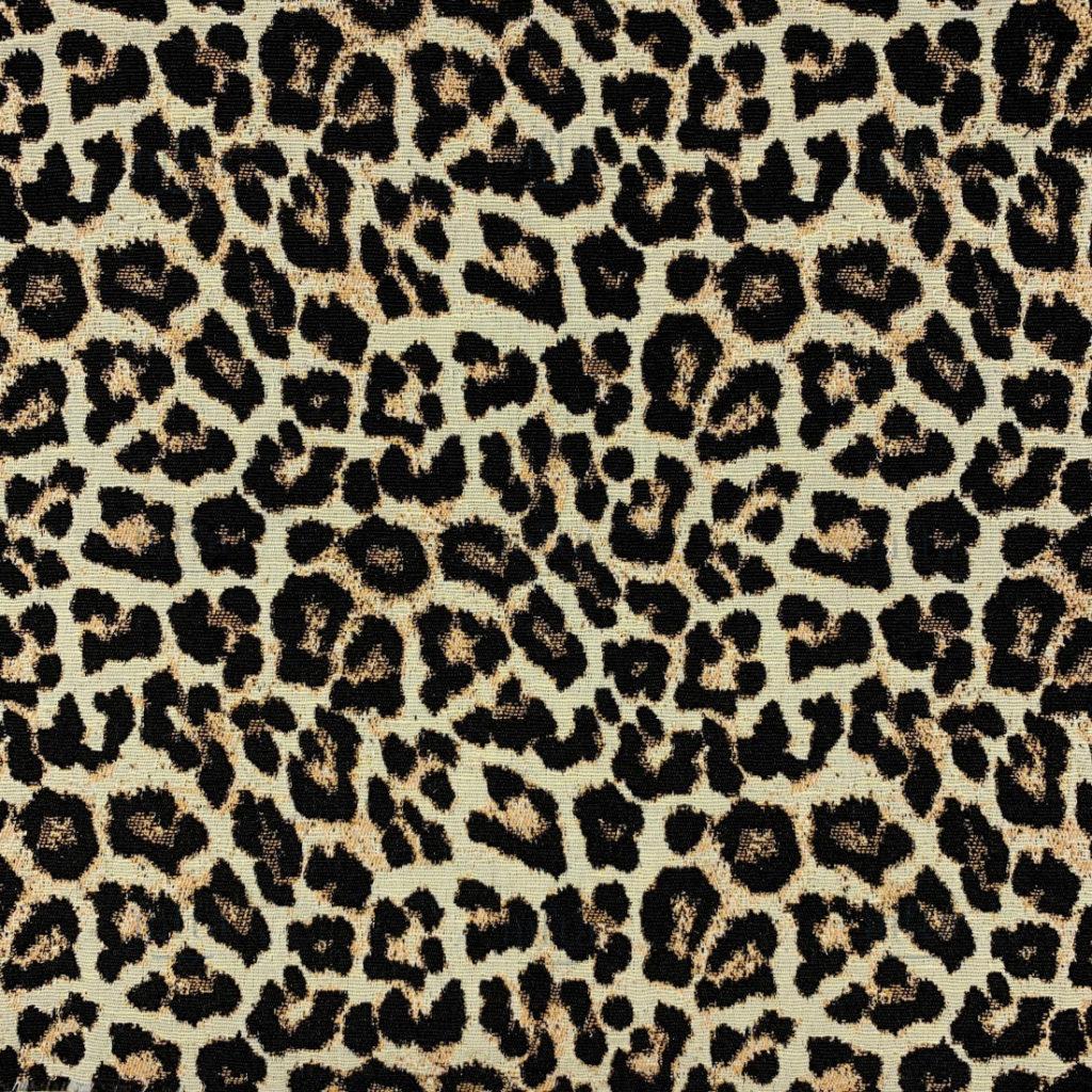 Leopard – MFTA