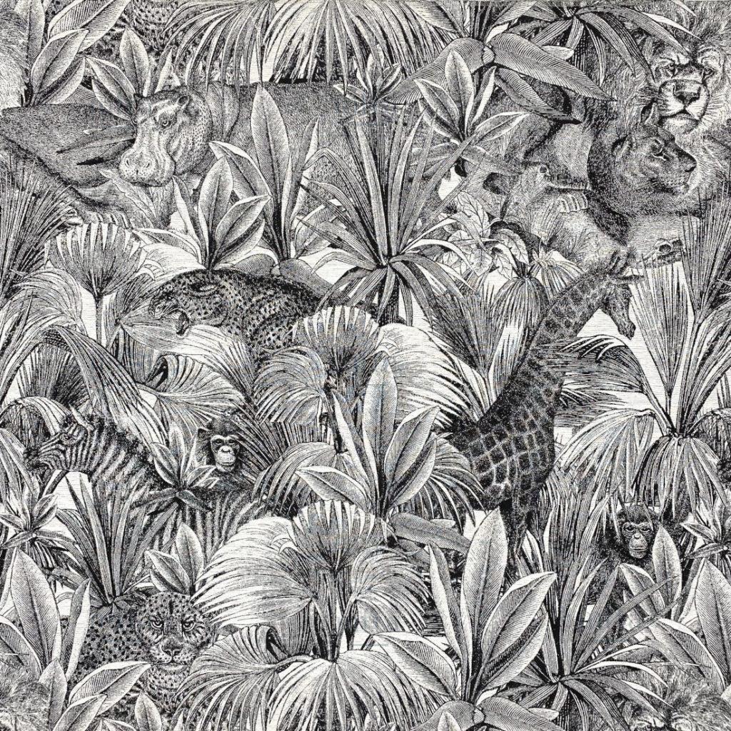 Safari – MFTA